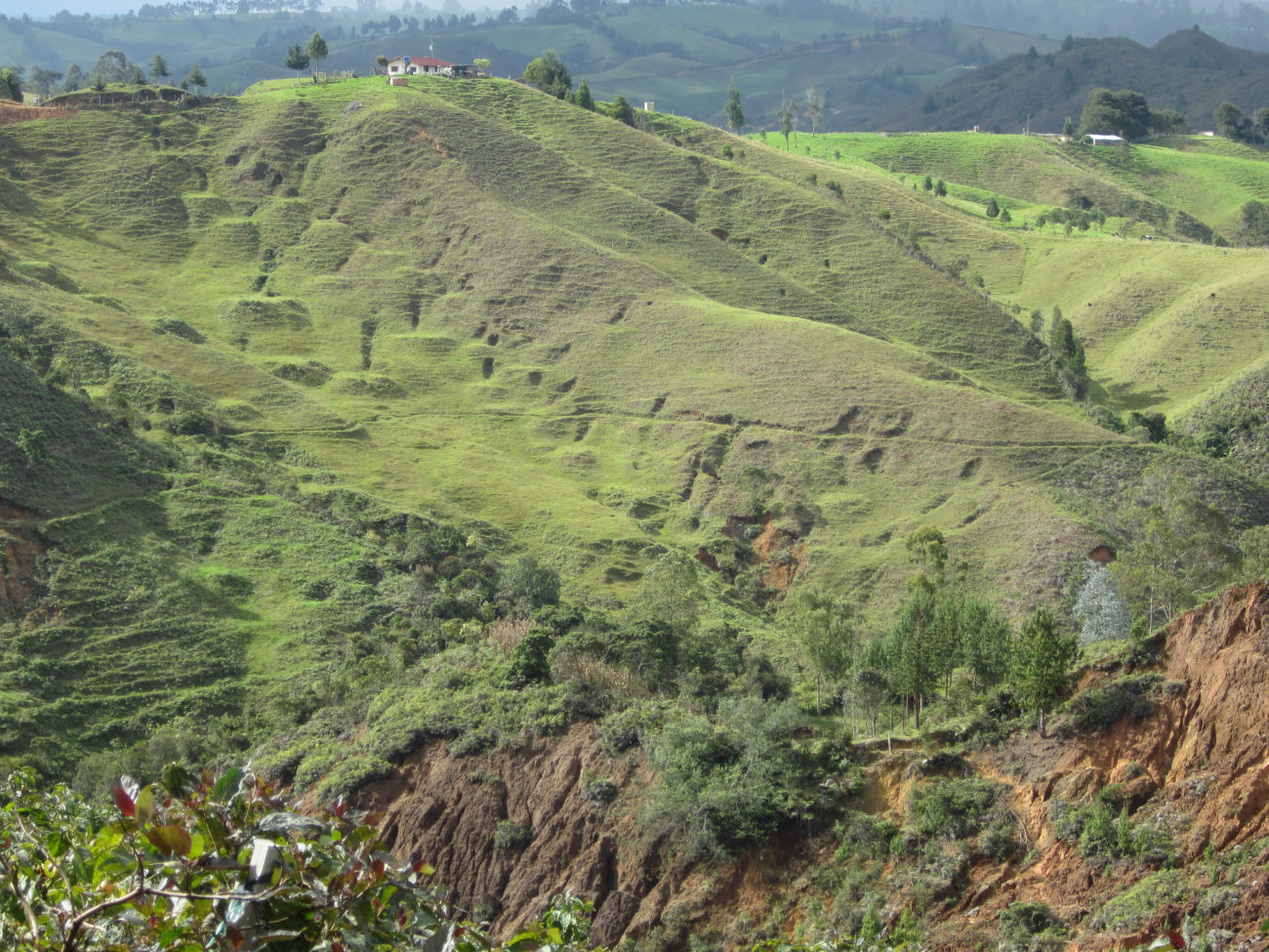 Report: Red Eagle Mining – Caesars Report