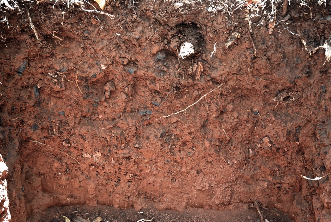 Cancana Resources – Caesars Report