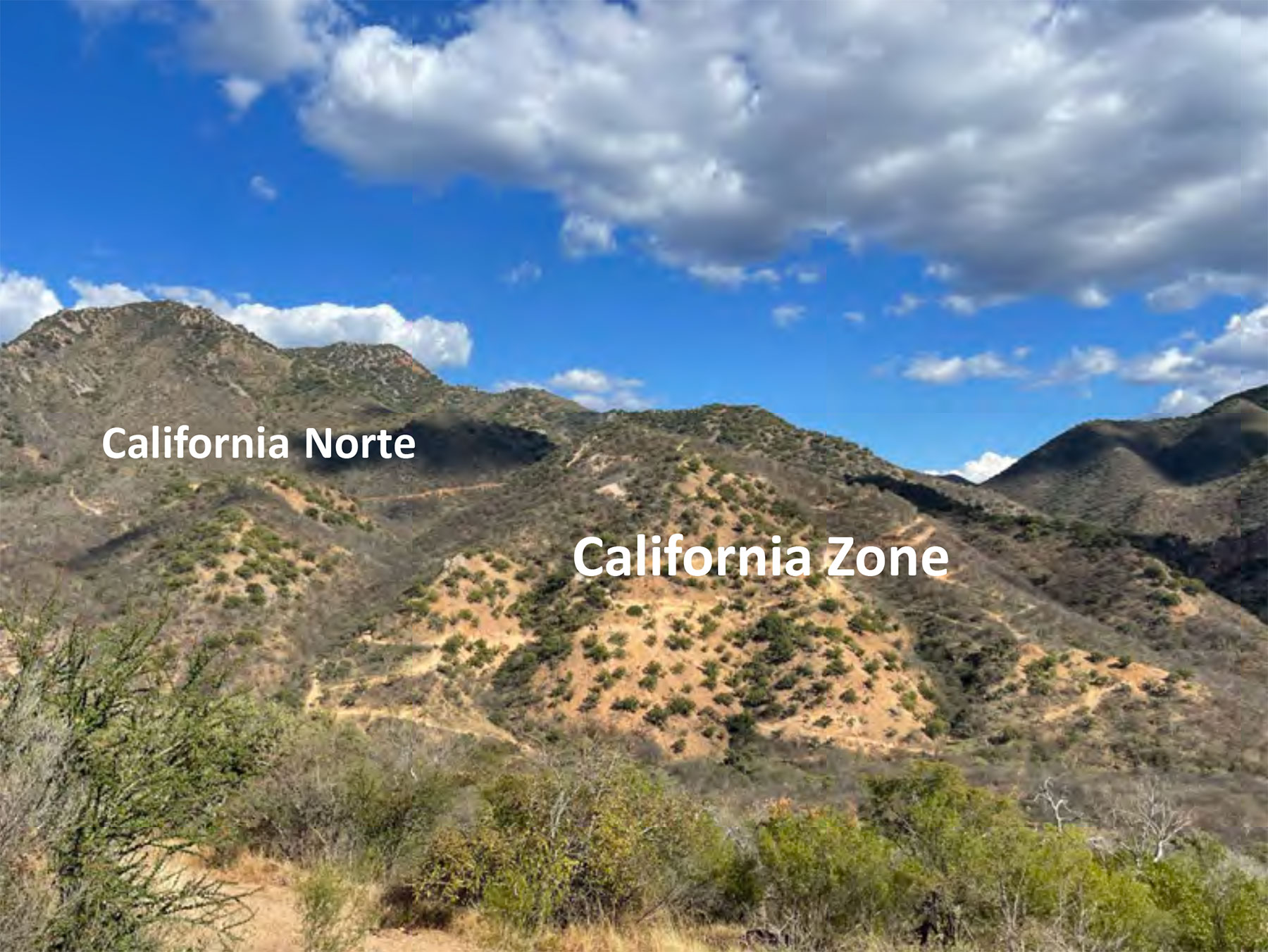Report: Aztec Minerals – Interview with CEO Simon Dyakowski – Caesars ...