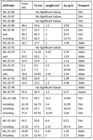 Canterra Minerals releases high-grade results on Wilding gold project ...