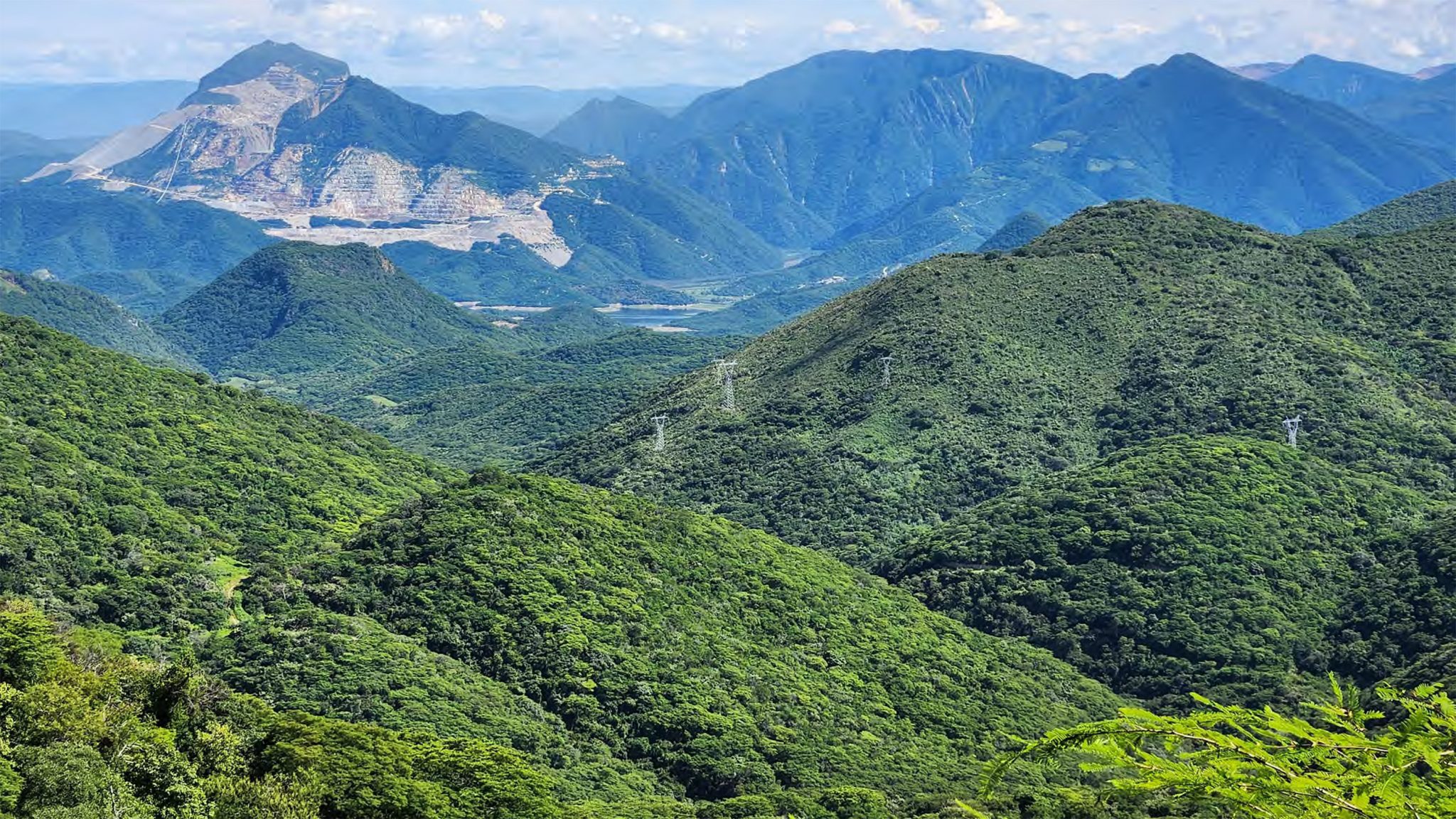 Caesars Report – Junior Mining & Resource Investing