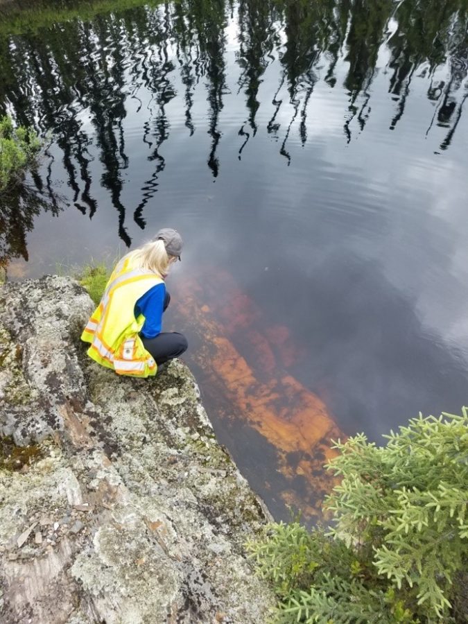 Report: Taiga Gold – A focus on the Tabbernor Fault with SSR Mining ...