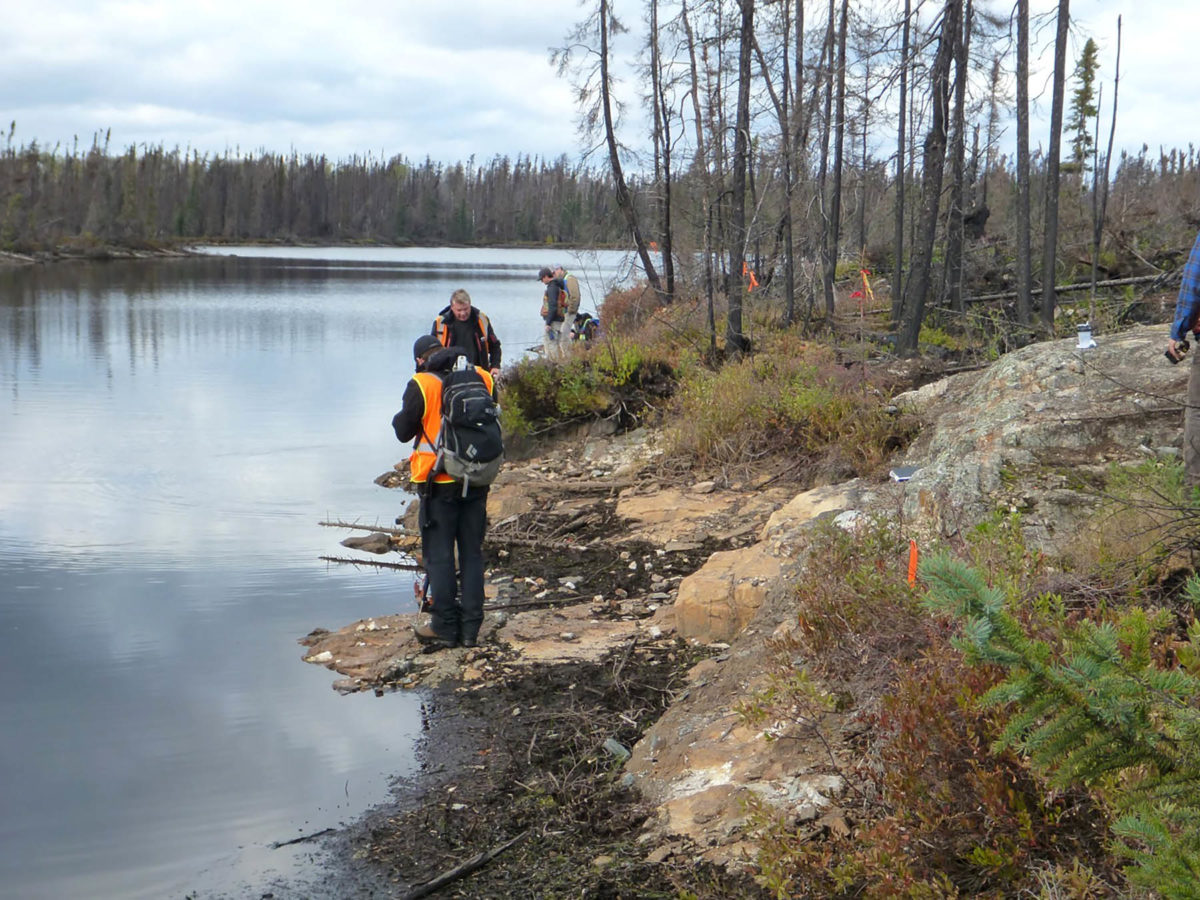 Taiga Gold – From Discovery to Resource Definition Drilling at Fisher ...