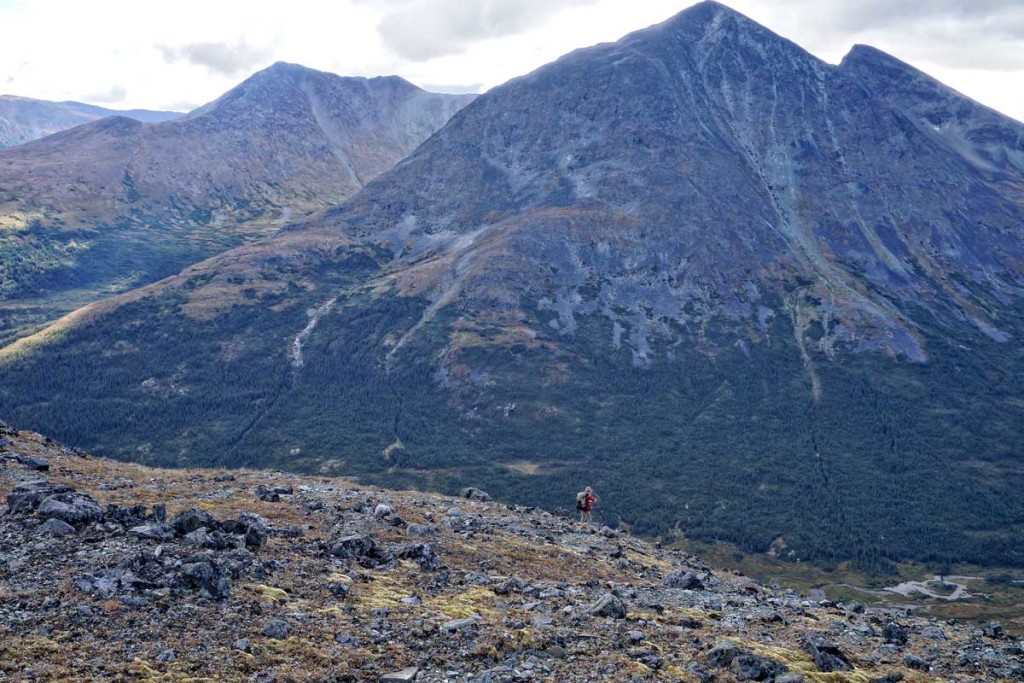 Mapping-Chickens-Neck – Caesars Report