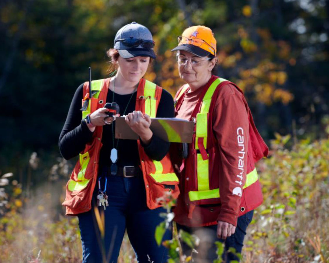 Report: Generation Mining – Securing 80% ownership of Marathon. Next ...