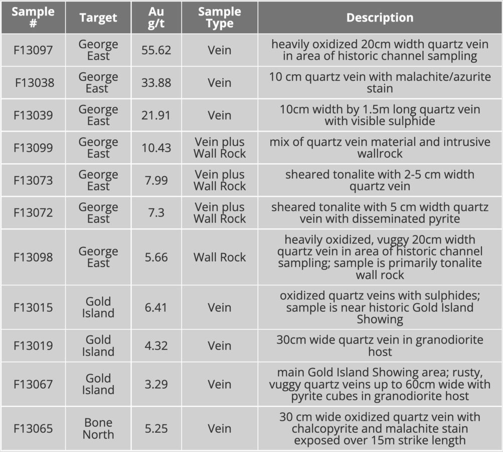 Report: Taiga Gold – SSR Mining makes an all-cash offer to acquire ...