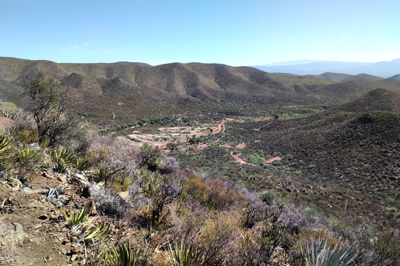 Report: Minera Alamos – Interview with President Doug Ramshaw – Caesars ...