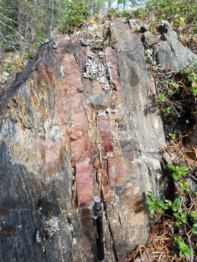 Report: Taiga Gold – A focus on the Tabbernor Fault with SSR Mining ...