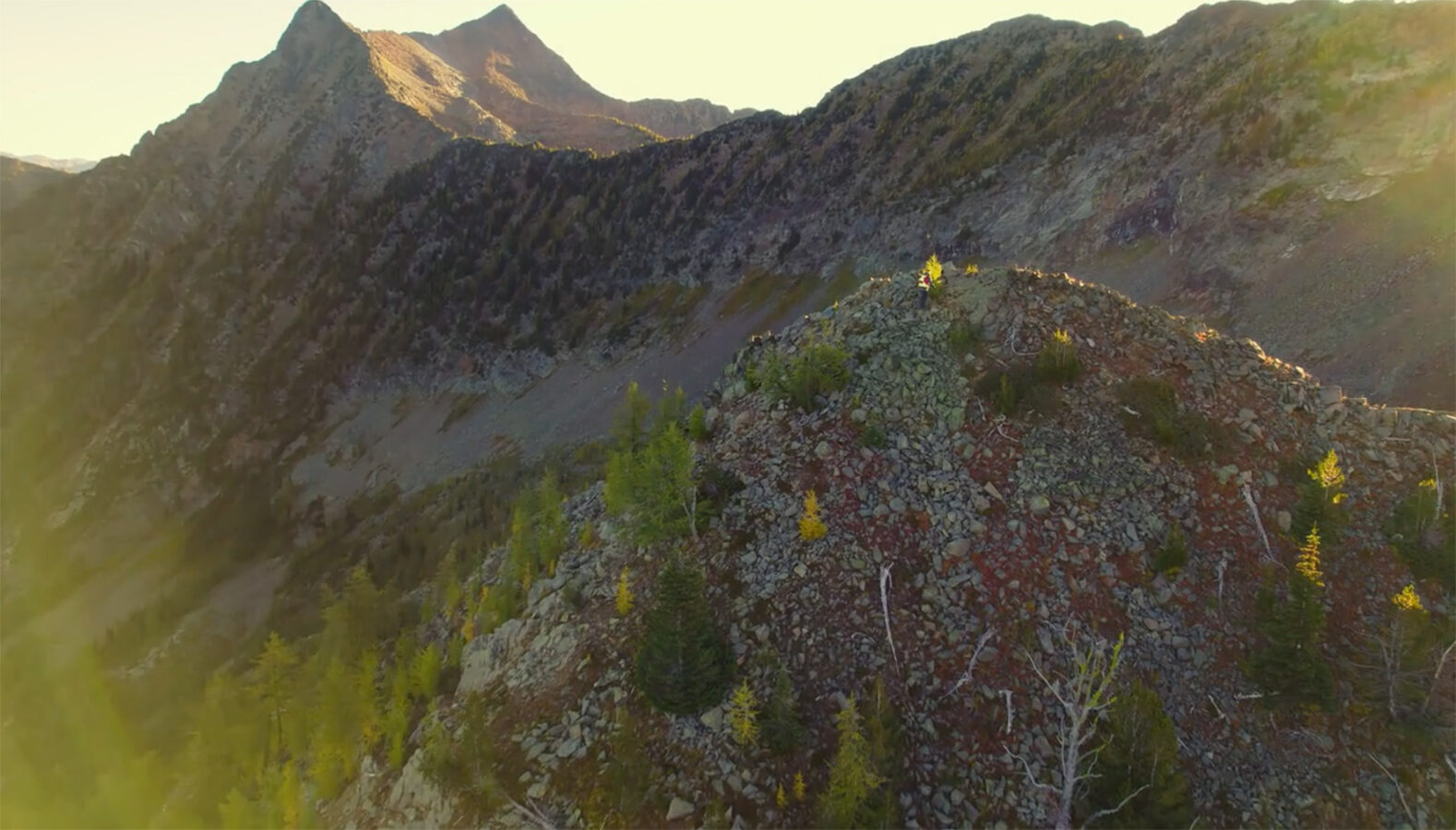 Caesars Report – Junior Mining & Resource Investing